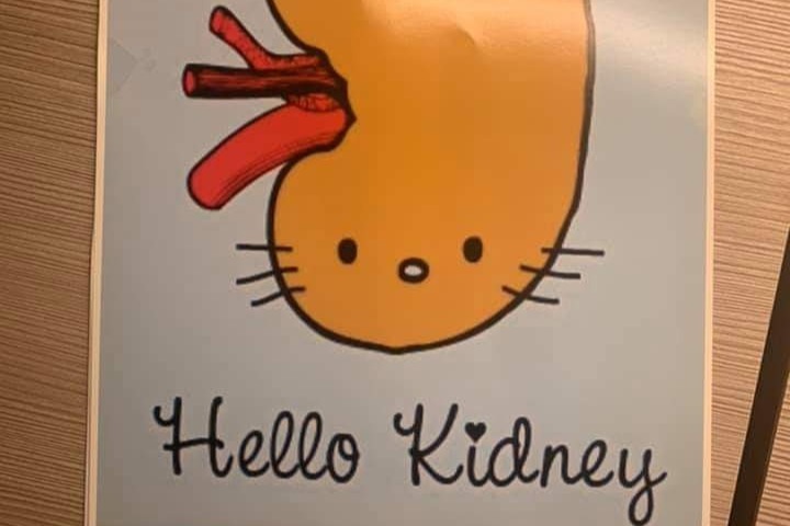 Fundraiser for Brooke Arthur by Lisa Shippy : Live Kidney Donor Support ...