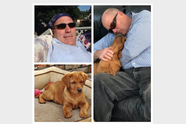 Fundraiser by Mary Gwaltney : Four Paws For Phil Nieman