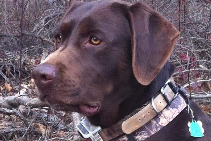 Fundraiser by Becky N Scott Jones : Derald & Cindy Poindexter