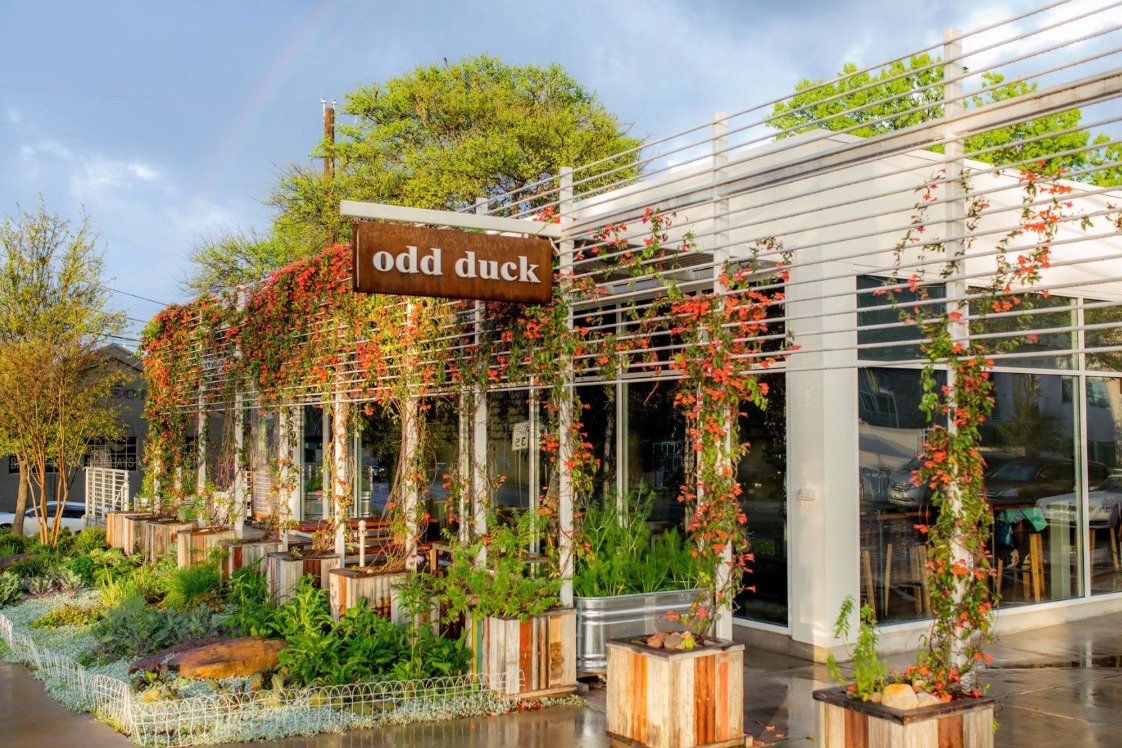 Fundraiser for Dylan Gilmore by Andrew Collins : Odd Duck Restaurant ...