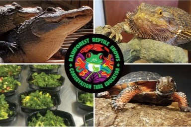 Fundraiser by Rainforest Reptile Shows : Confiscated/Abused Animal ...