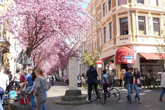 Fundraiser by Julia Nikolic : Hilfe für Café Blüte in Corona-Zeiten