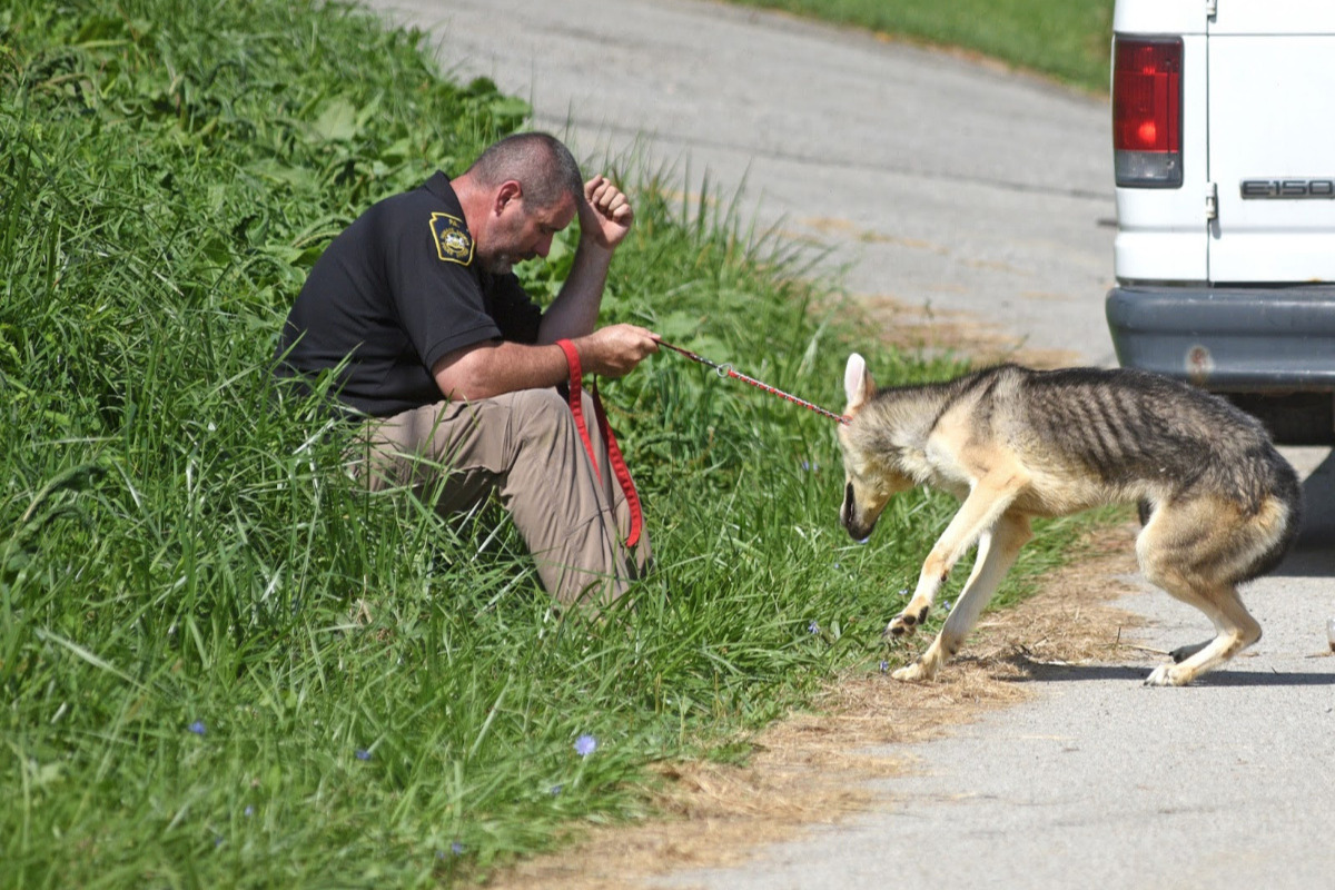 Fundraiser by Kelly Proudfit : Support Humane Society Police Officer ...