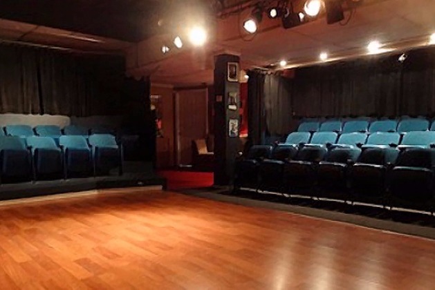 Fundraiser by Jonathan Frank : The Chicago Actors Studio Coronavirus ...