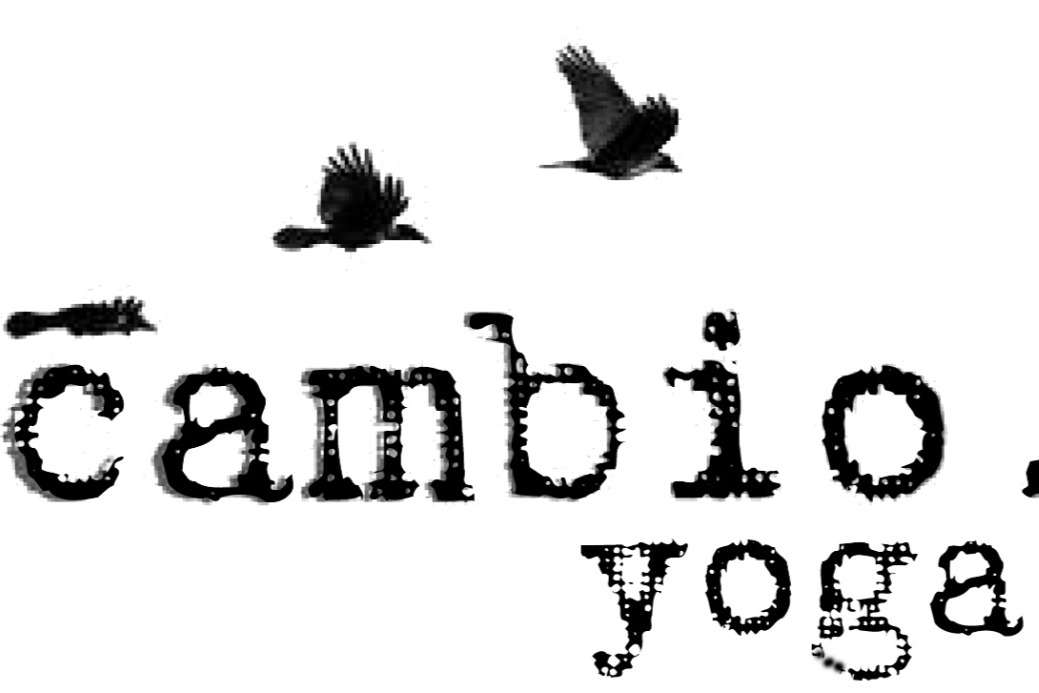 Fundraiser for Amber Richman by Lora Lantz : Help Cambio Yoga Studio Fund