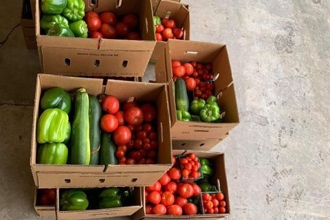 Fundraiser for Jamy Rosenstein by Nisha Arora : Atlantic Fresh Trading ...