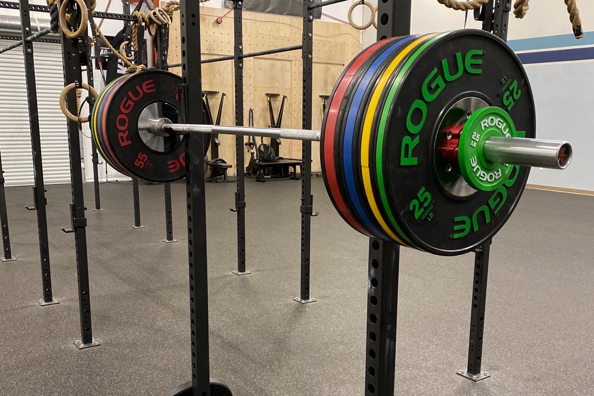 Fundraiser for David Shute by Robert Henry : Physwell Apocalypse Fund