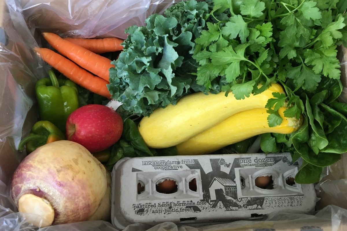 Fundraiser by Benjamin Melville : Food Justice Fund