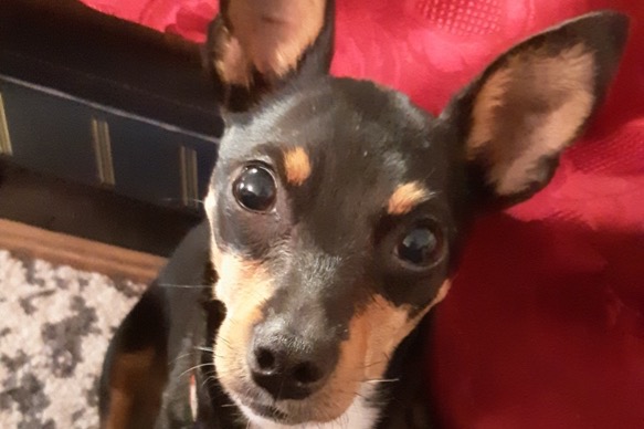 Fundraiser for Jesse Howland by Michelle Tessier : Can You Help Our ...