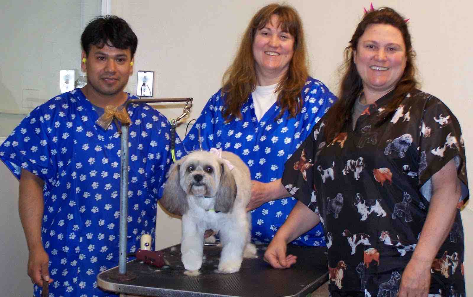 Fundraiser for Janine Schengel by Lisa Canepa : Doggie Styles Mill ...