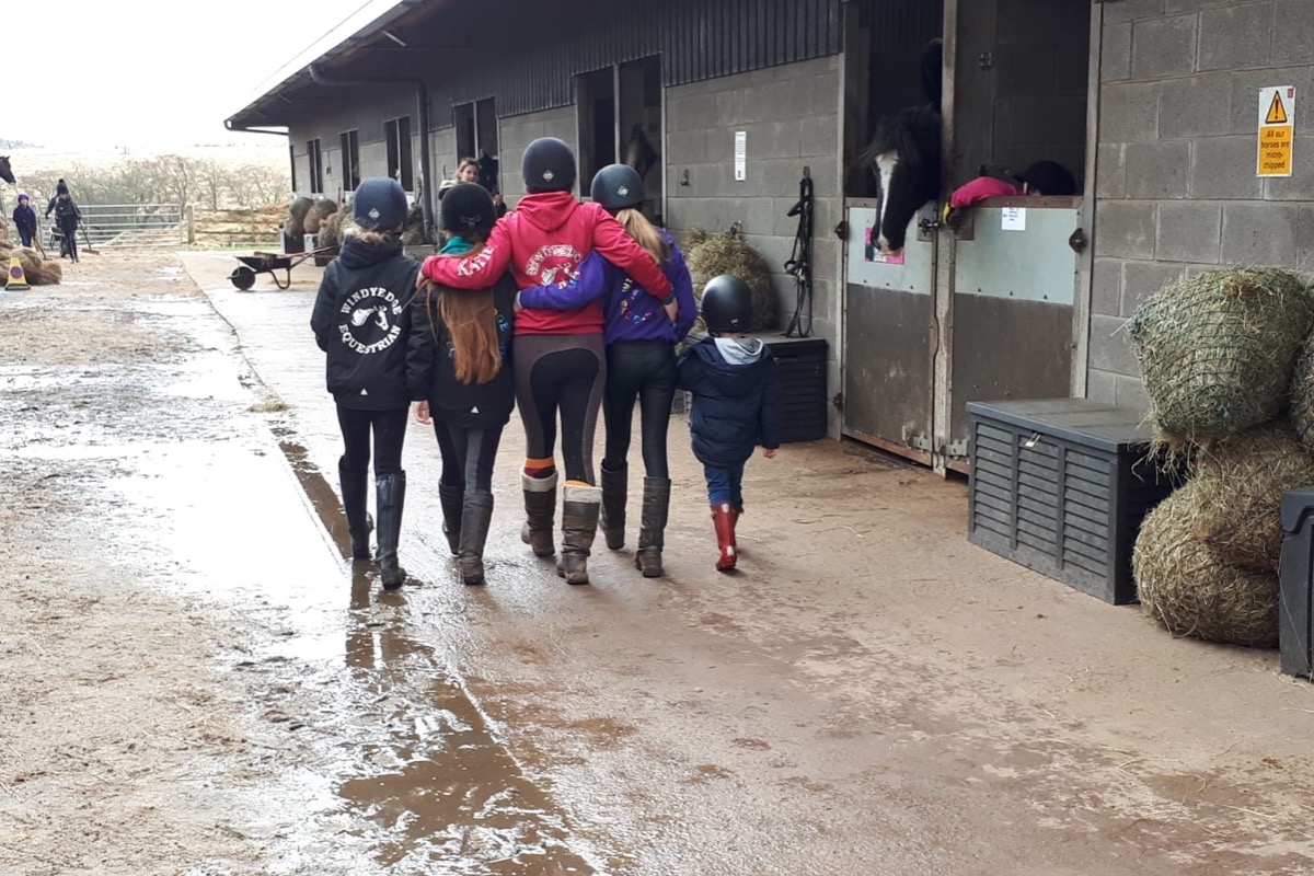 Fundraiser by Sandra McCallum : Help Windyedge Riding school ponies