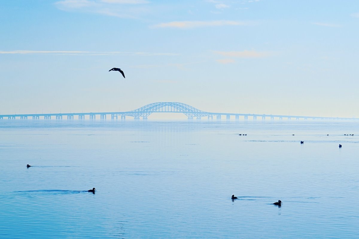 Fundraiser by Luke Zappia : Babylons Bravest