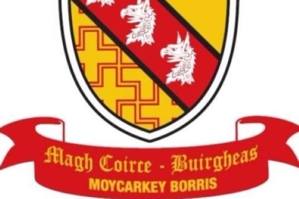 Fundraiser for Frances Boyle by Moycarkey Borris GAA Club : Moycarkey ...