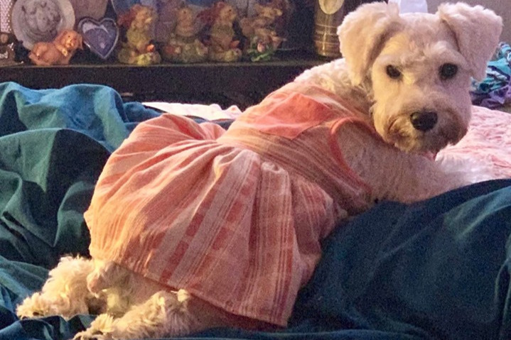 Fundraiser for Michael Holley by Laura Lafitte : The Mighty Huntress ...