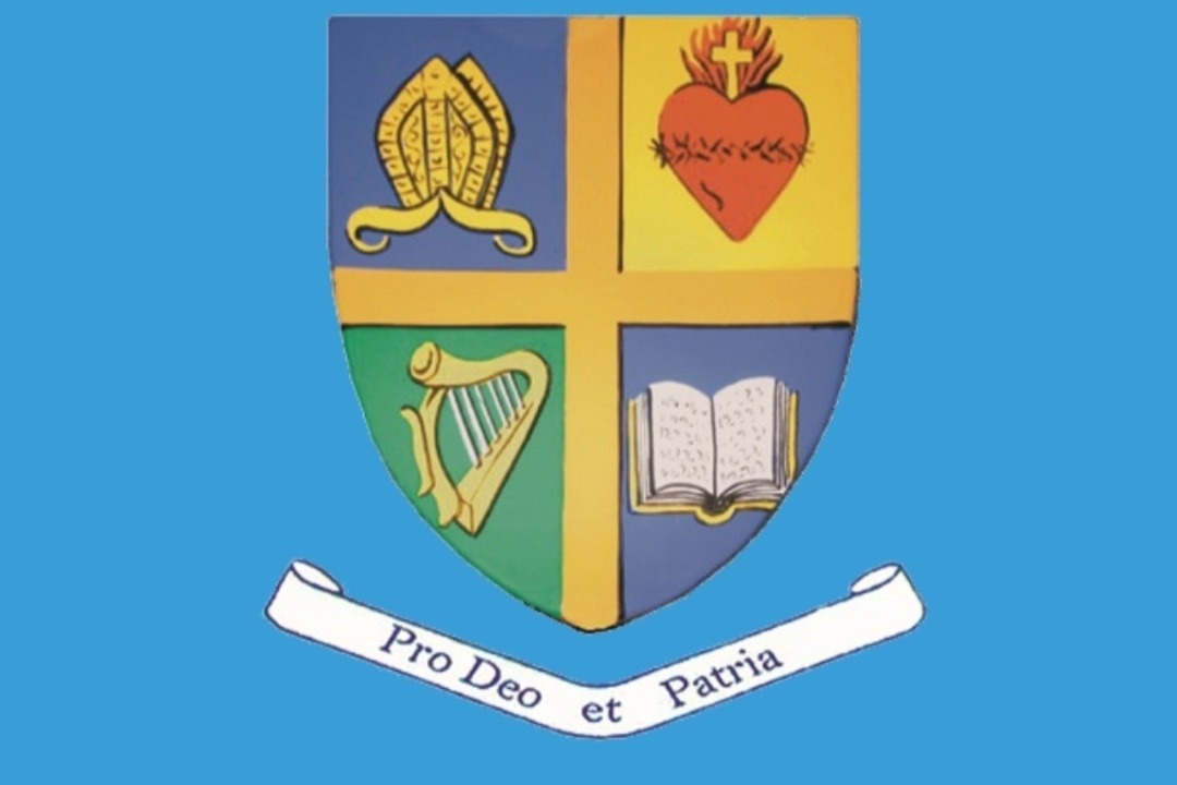 Fundraiser for COPE Galway by Sarah Gleeson : Bish Goes Blue