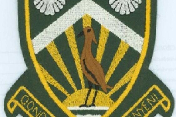 Fundraiser by Colourgrad Mpoko : Solar Panels for Thekwane Secondary School