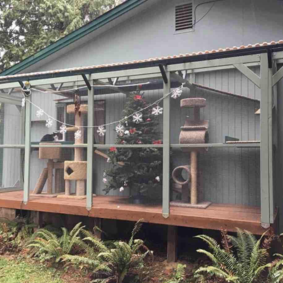 Fundraiser by Navy Mom : Joseph Pizur’s Eagle Project-Out door cat patio