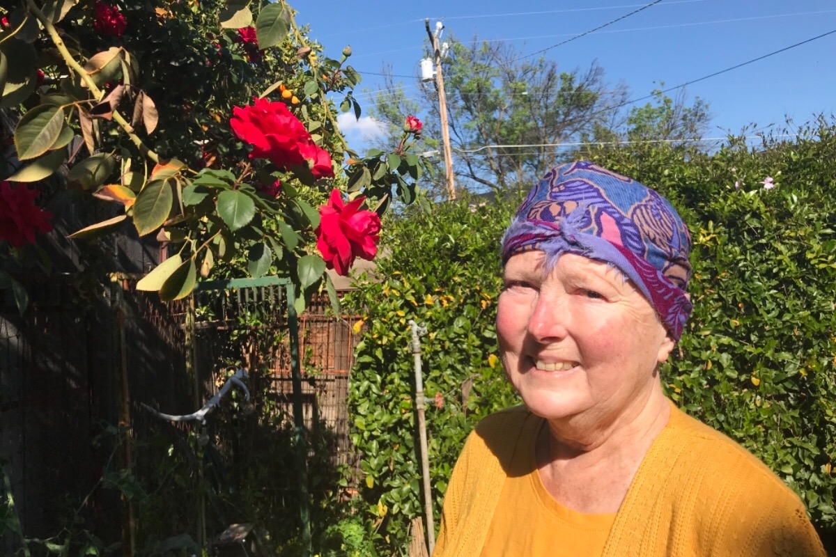 Fundraiser by Amy Ziegler : Artist Jane Ziegler