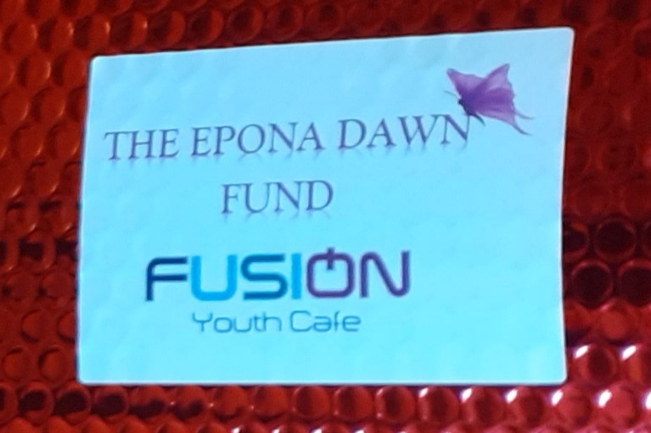 Fundraiser by Jane Murphy : The Epona Dawn Fund