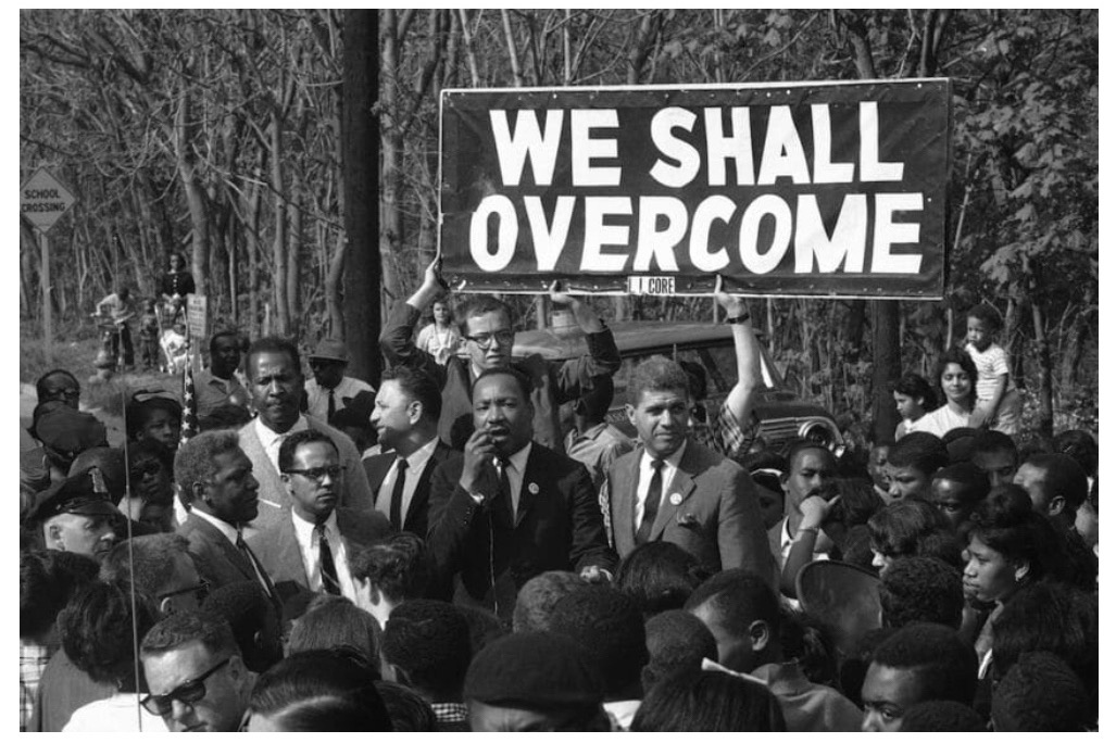 Fundraiser by Irena Webster : BLM (Covid-19)