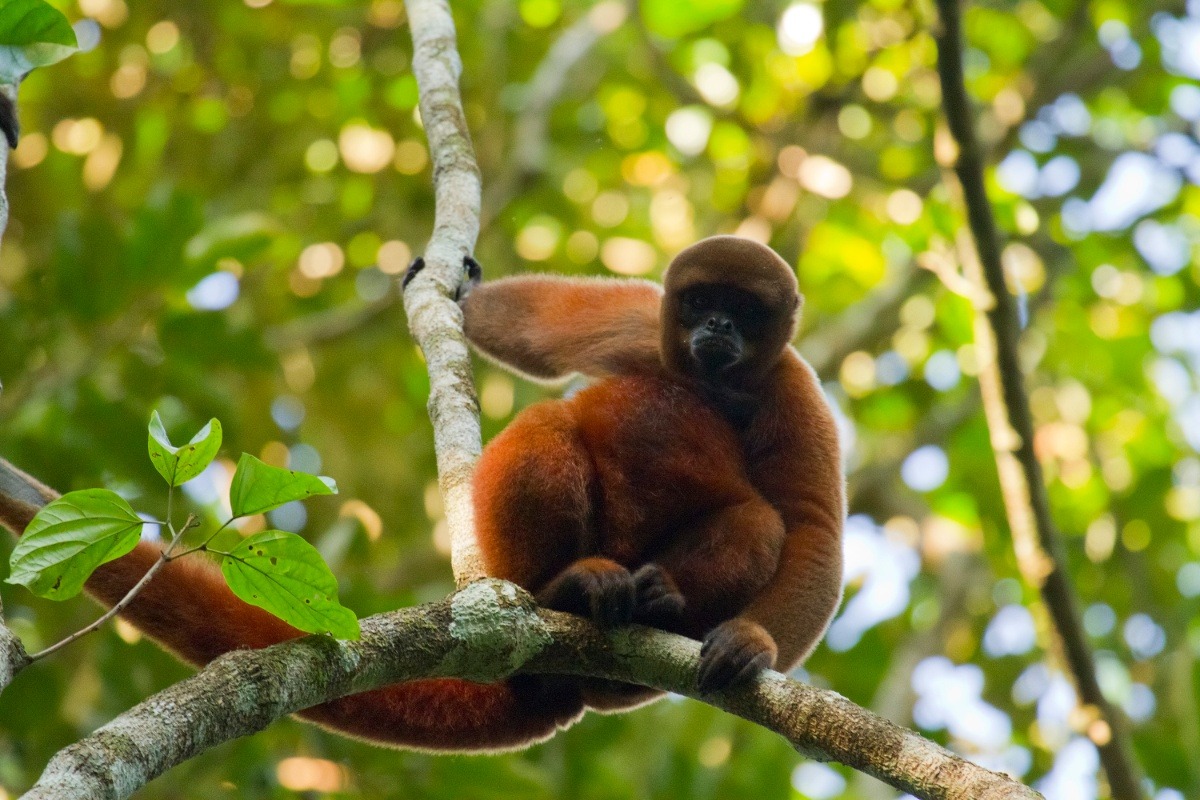 Fundraiser by Krista Smith-Hanke : Support Sumak Allpa During the ...