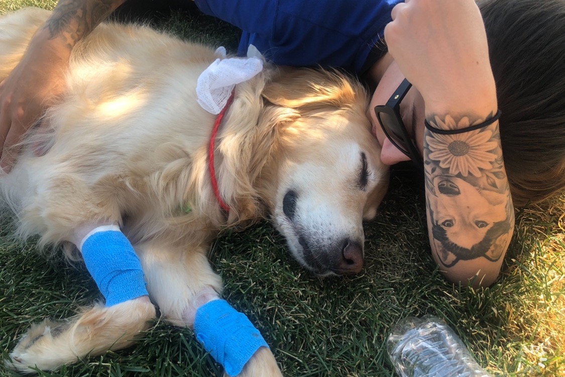 Fundraiser by Allison Casella : Please help Cali get the help she needs