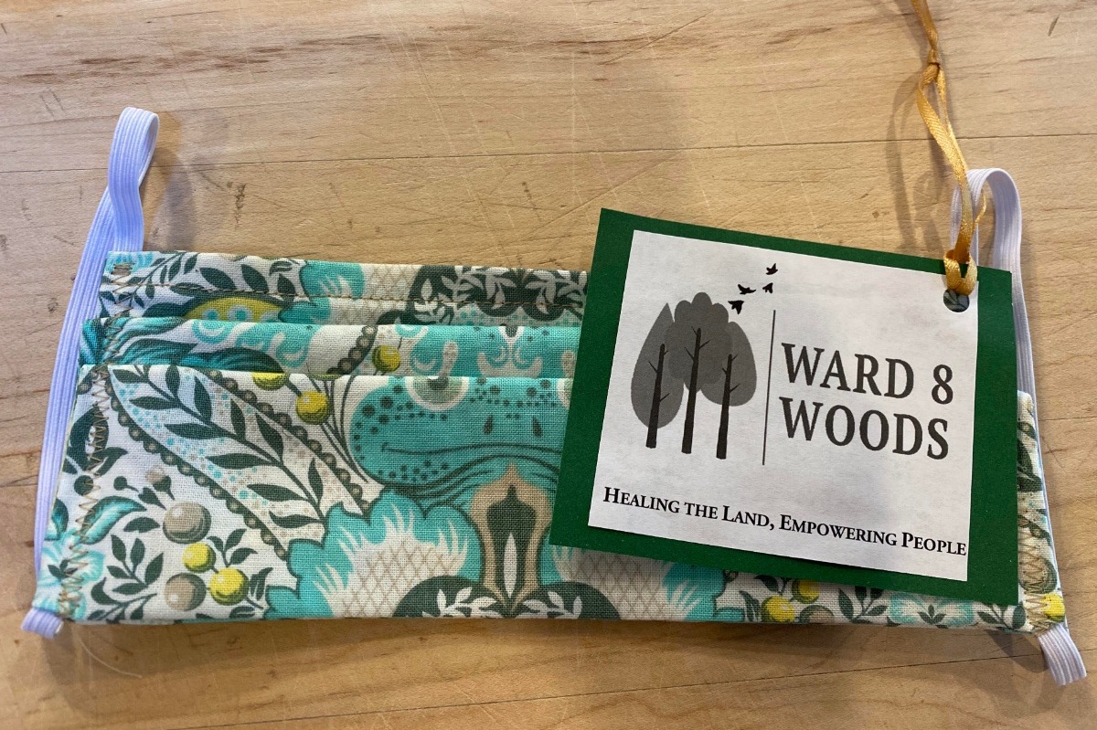 Fundraiser by Mandy Katz : 1,000 Face Masks for Ward 8, DC