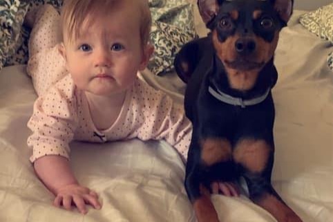 Fundraiser for Justin LaPointe by Meg LaPointe : House fire