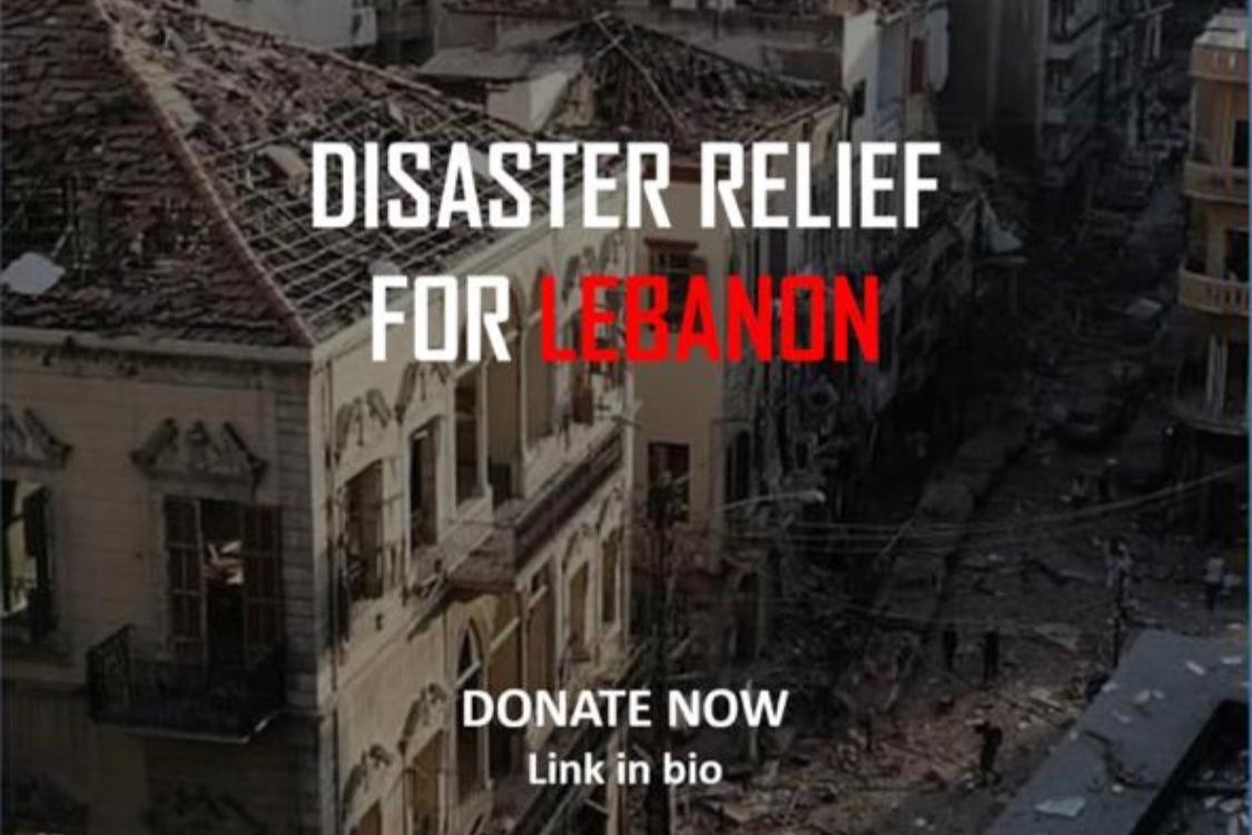 Campagne de sociofinancement organisée par DEAR. LEBANON : DISASTER ...