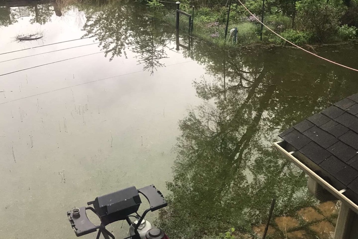 Fundraiser for Lilly Dougherty by Tayler Finco : Lilly’s Flood Fund