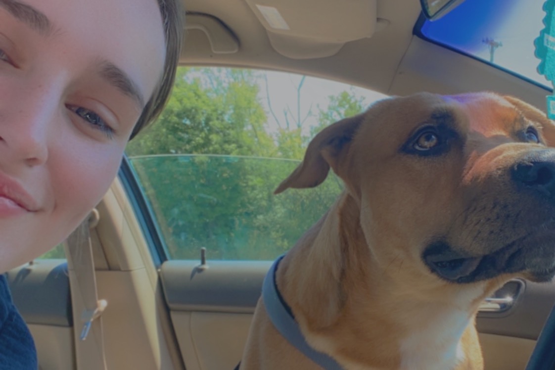 Fundraiser by Hannah Prouse : GROOTS JAW SURGERY