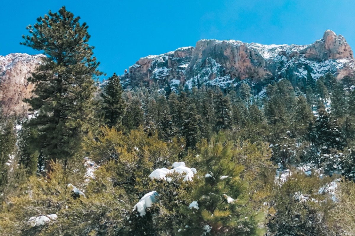 Fundraiser by Sarah Belmore : Trails On Earth Foundation