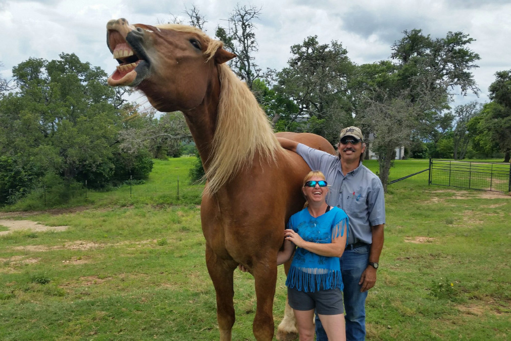 Fundraiser for Amy Bray by Carol Grosvenor : Julian Bray Memorial