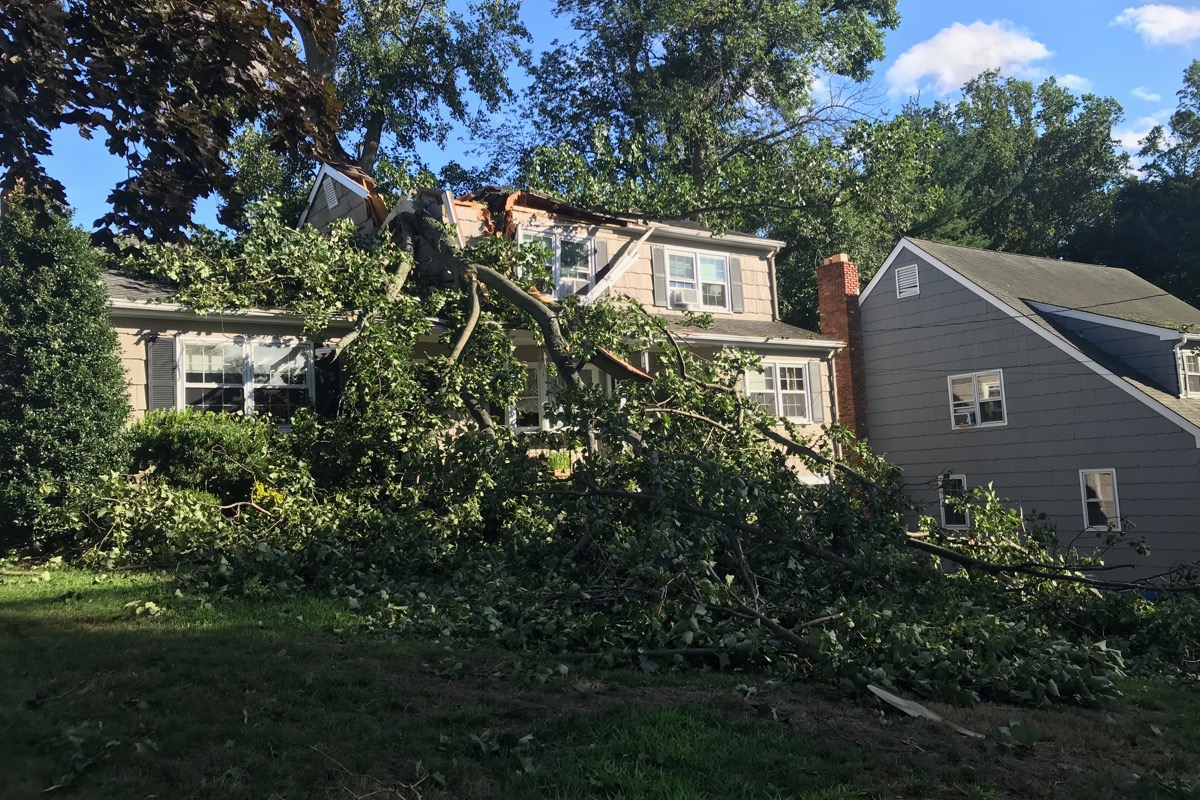 Fundraiser for Carole Maravich by Adele Rubenstein Josovitz : Immediate ...