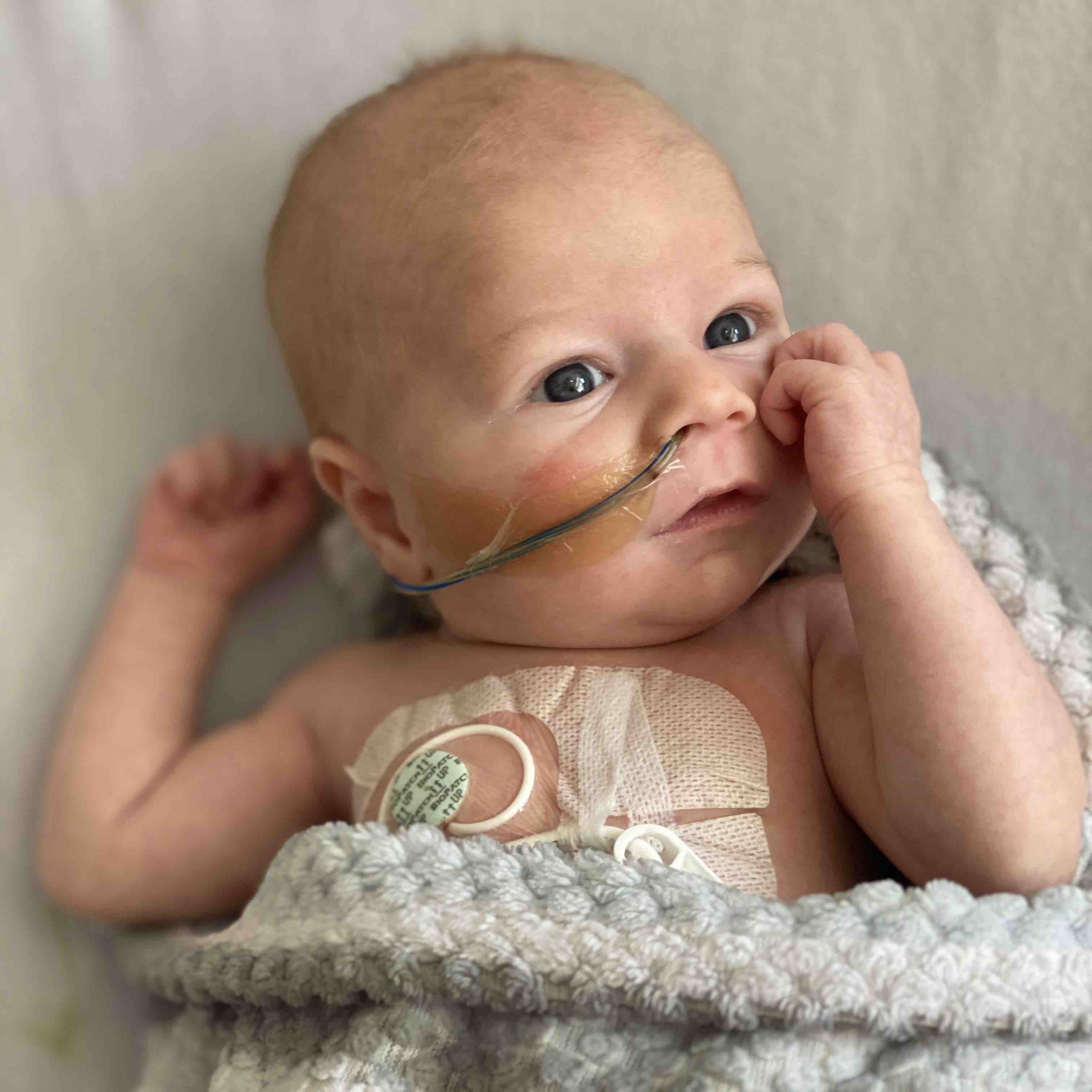 Fundraiser for Sara Rondeau by Shawn Eggleston : Brody the Brave