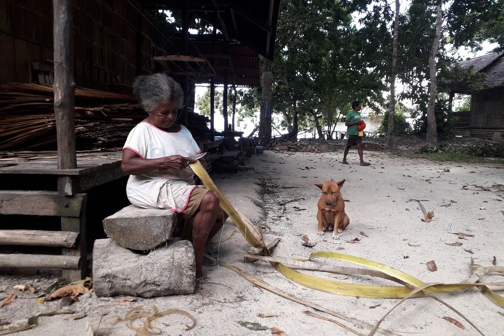 Fundraiser by Michelle Songy : Papuart's Alter-Native Stay Rescue Program