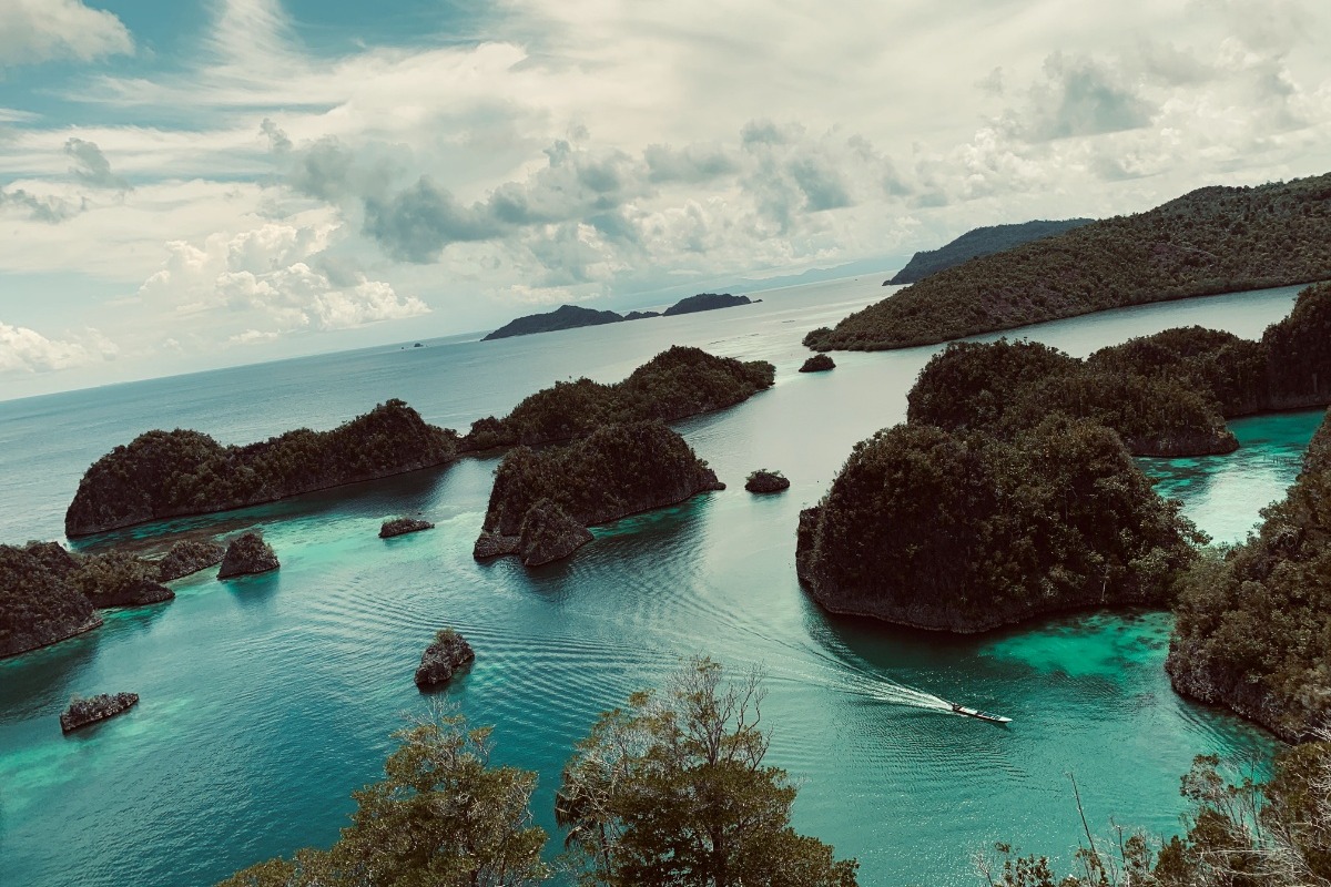 Fundraiser by Michelle Songy : Papuart's Alter-Native Stay Rescue Program