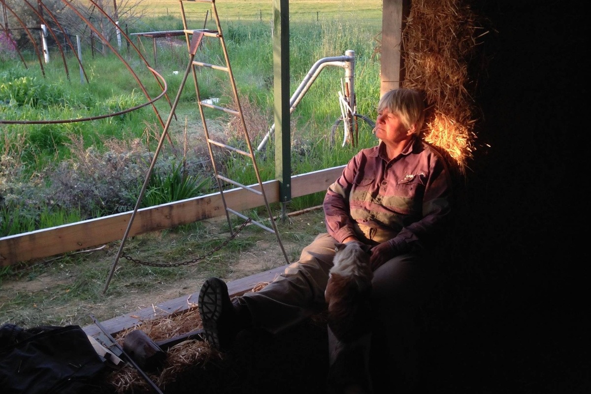 Fundraiser for Joe Cacic by Sally Cacic : Joe & Laurie's Hay House Ministry