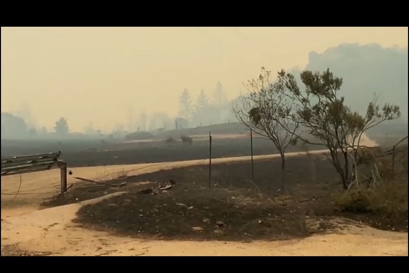 Fundraiser for Lydia Locatelli by Melanie Palm : Locatelli Ranch