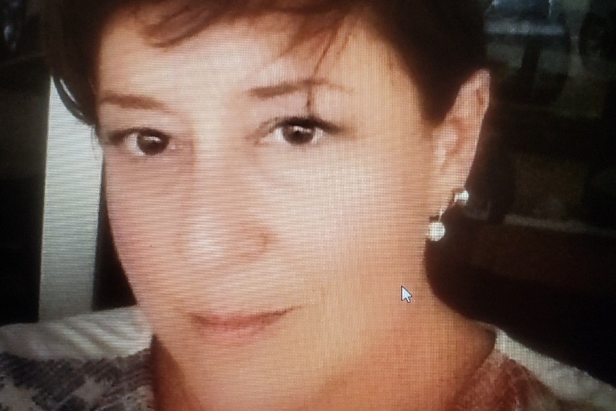 Fundraiser for Lee Freeman by Elizabeth Dilts : Lee Ann Freeman