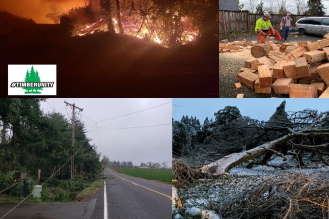 Fundraiser by Timber Unity : #TimberUnity Emergency Response Fund