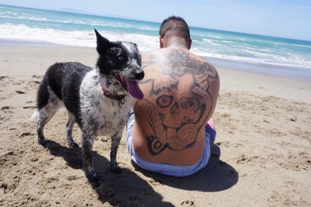 Fundraiser for Cynthia Lederer by Jessica Lederer : Bodhi’s vet Bills