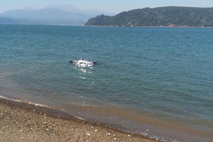 Fundraiser for Pamela Martin by Sheri Saari : Pam Needs our Help!