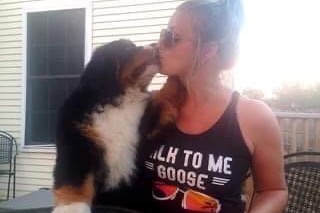 Fundraiser for AMANDA WESCOTT by Amber Wescott : Help Goose and Amanda