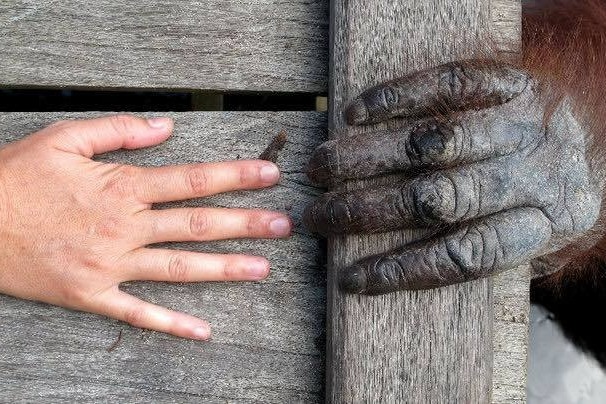 Fundraiser by Shauna Decker : The best of humanity at a time of crisis