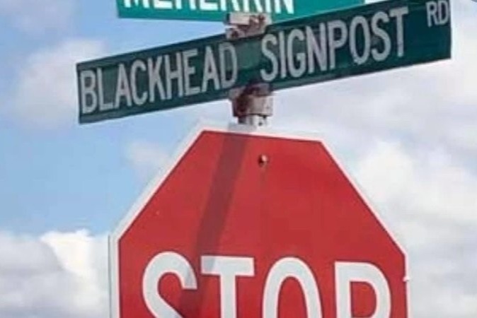 Fundraiser by Toya Michelle : Historical Marker for Blackhead Signpost Road