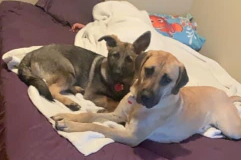 Fundraiser by Noah Mckeever : A New Start for Nichole & Miah