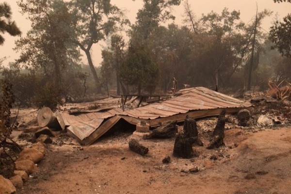 Fundraiser by Jeff - Matt Alligood : Help Rebuild The Canopy Sierras