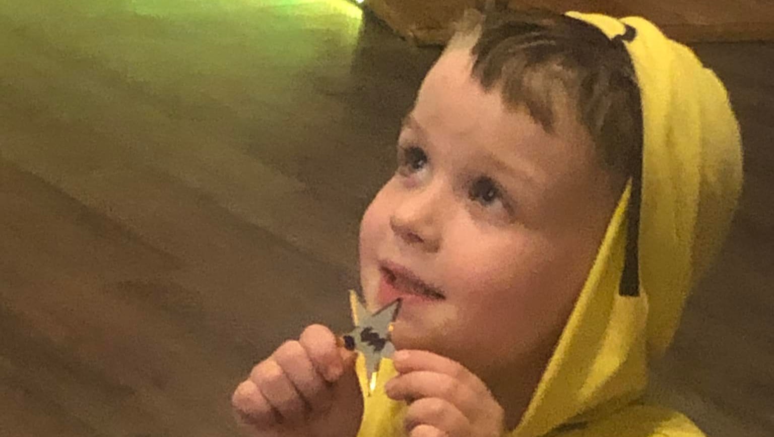 Fundraiser for Loree Bosley by Jan Goswick : William Bosley