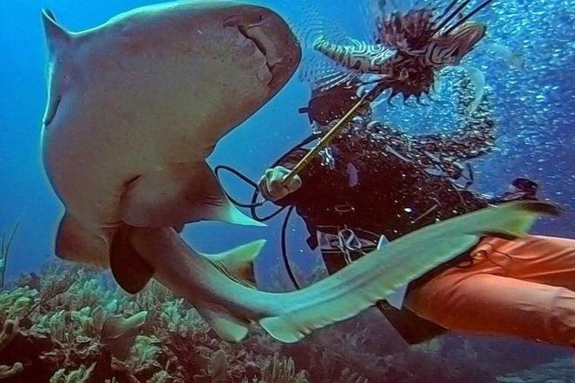 Fundraiser by Dave Frisch : Help Save 303 Dive Bar